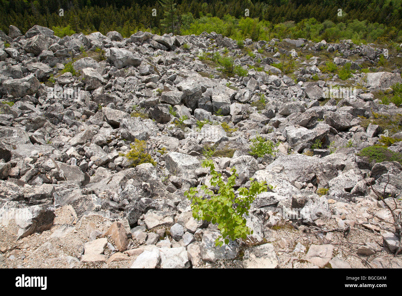 Zealand pond in white mountains hi-res stock photography and images - Alamy