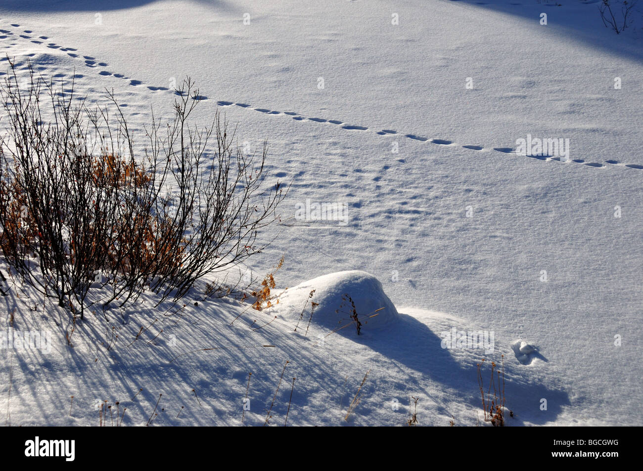 Copper Mountain, Colorado, USA Stock Photo - Alamy