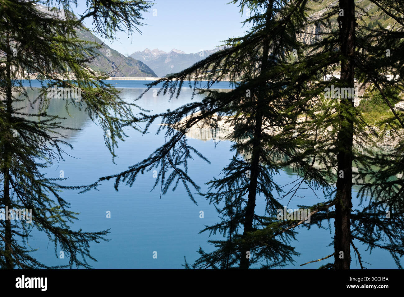 View of lac du chevril through trees hi-res stock photography and ...