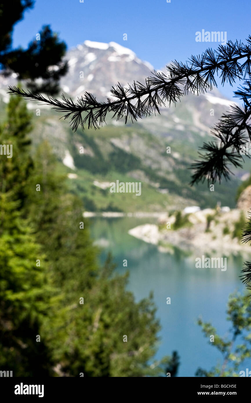 View of lac du chevril through the trees hi-res stock photography and ...