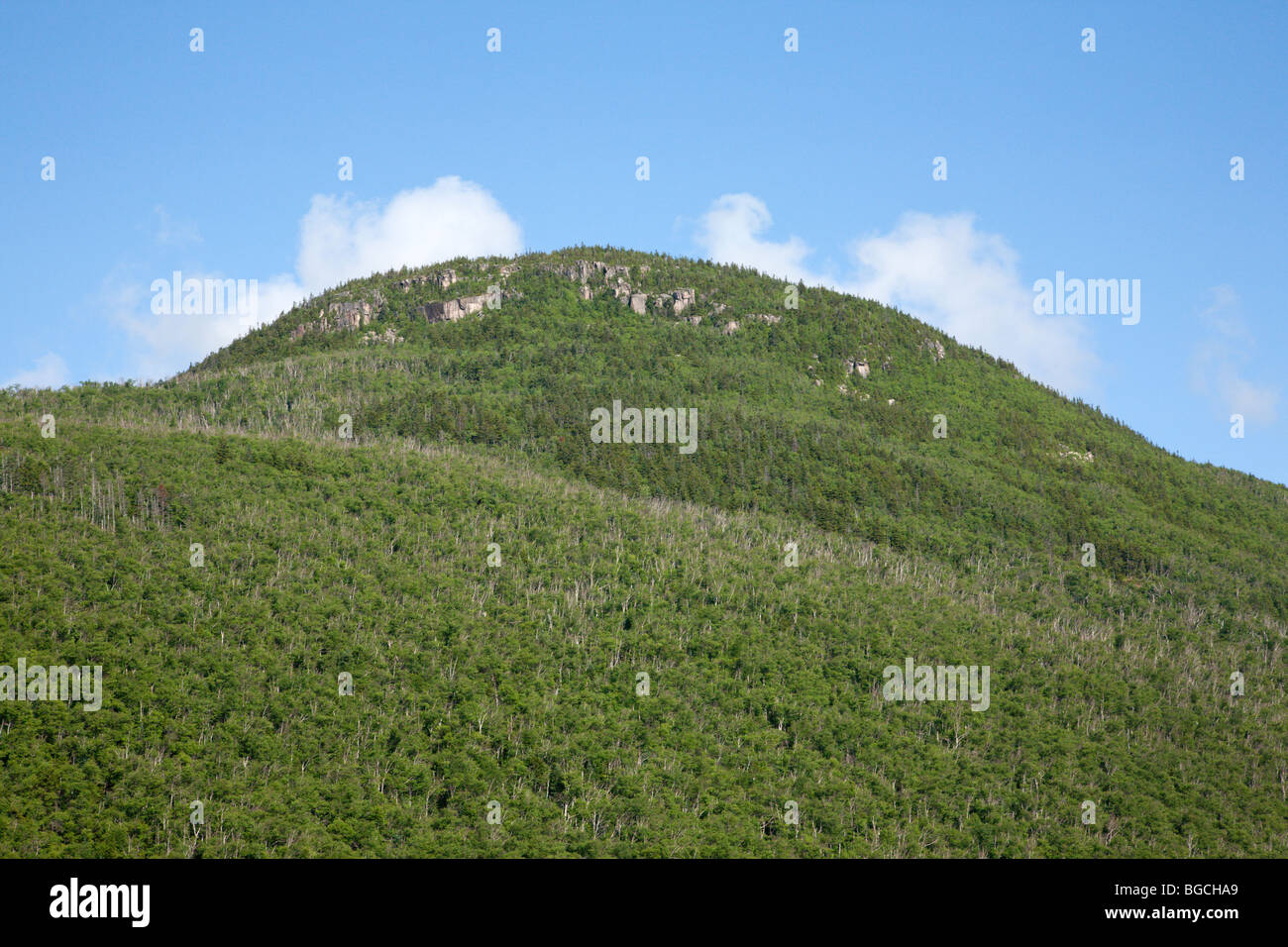 Zealand Notch - Zeacliff from the Appalachian Trail in the White ...