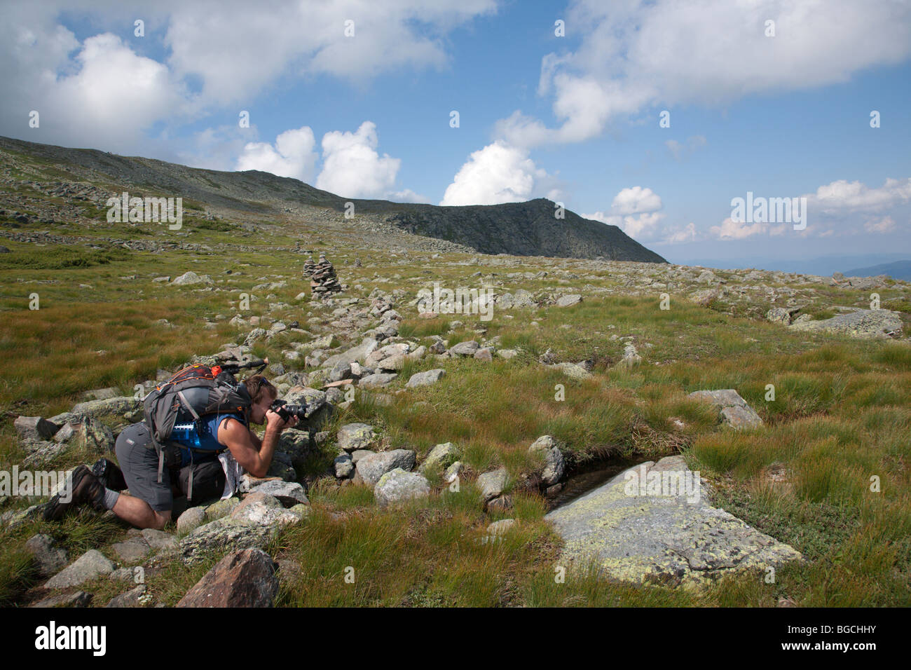 Mount Washington...Alpine Garden Trail in the White Mountains, New ...