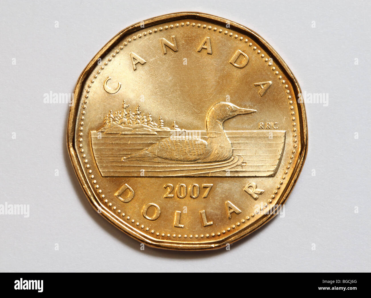 Canadian One Dollar Coin Stock Photo Alamy Canadian One Dollar Coin Stock Photo Alamy