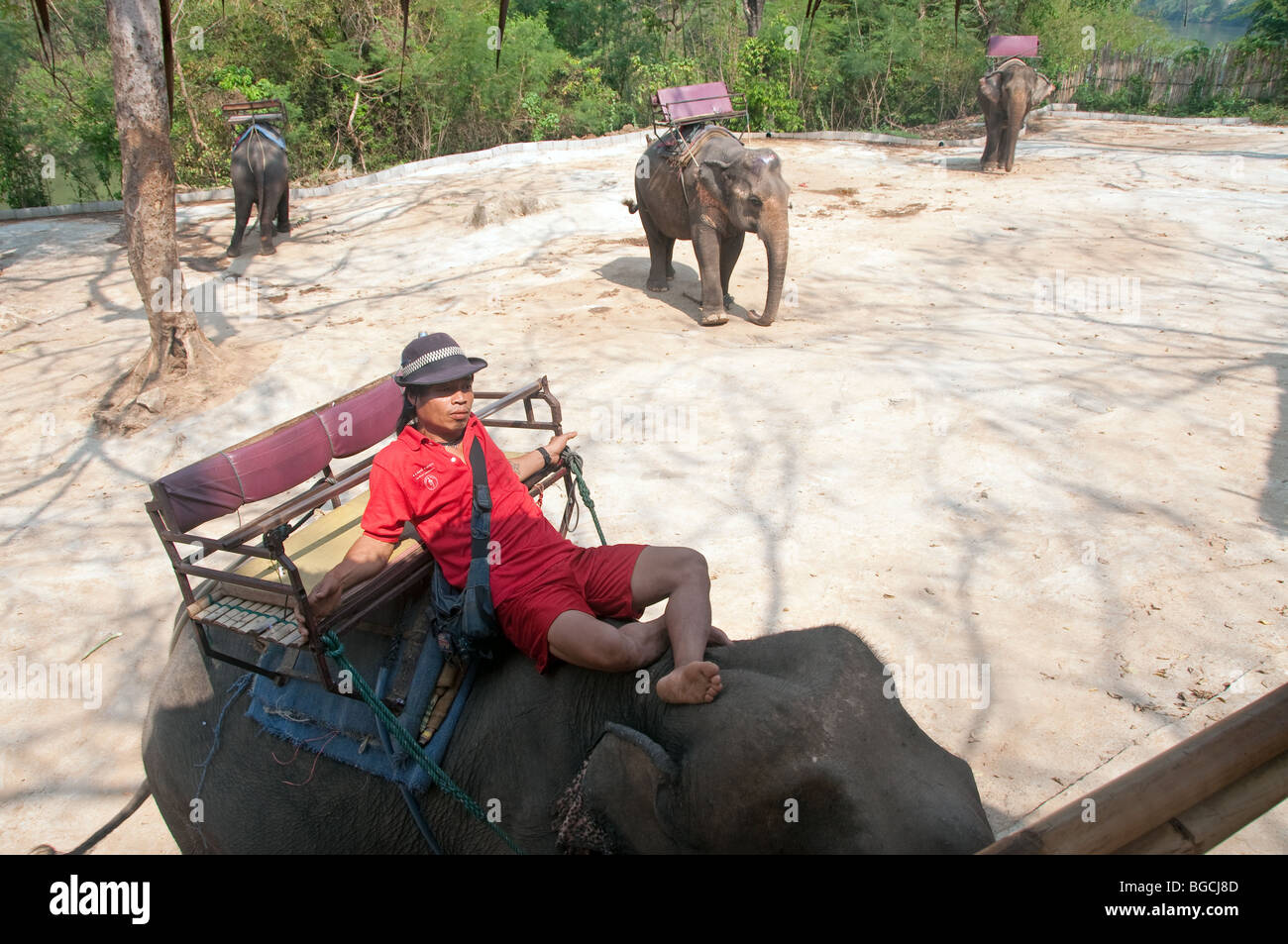 Elephant rider hi-res stock photography and images - Alamy