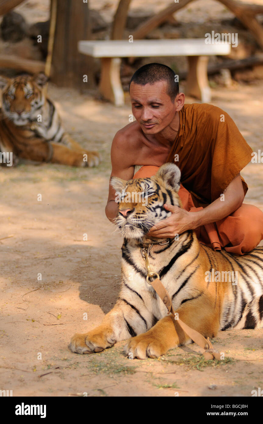 Tiger temple hi-res stock photography and images - Alamy