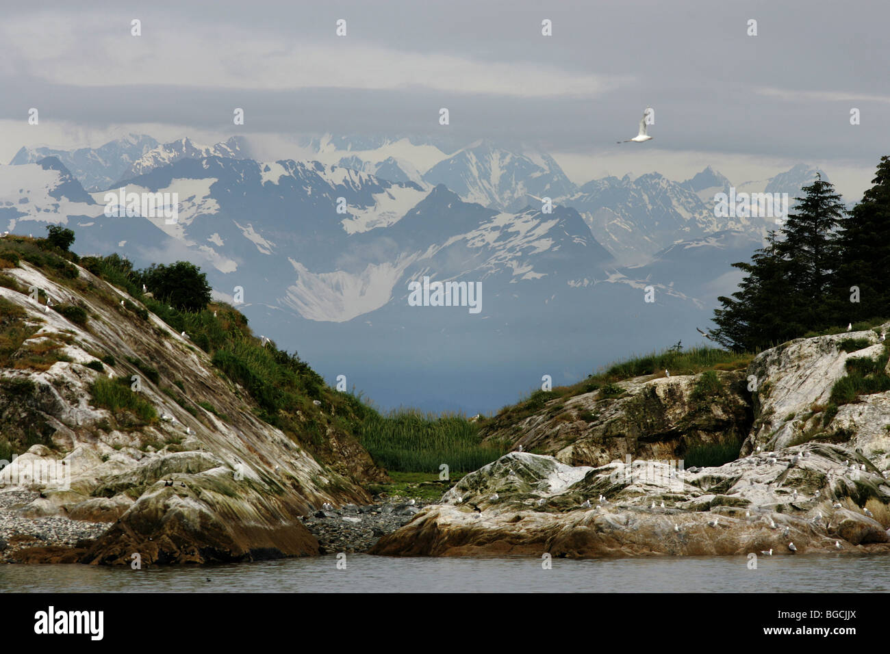 Drake glacier hi-res stock photography and images - Alamy