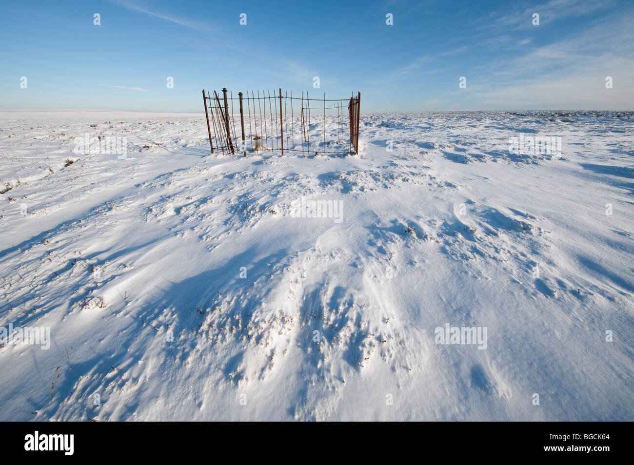 Derbyshire gritstone sheep hi-res stock photography and images - Alamy