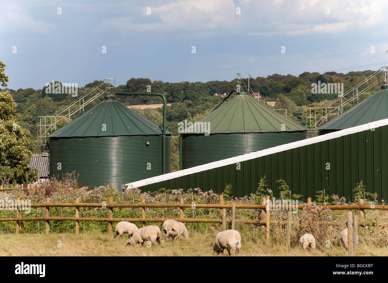 a row of green tanks on farm Stock Photo - Alamy