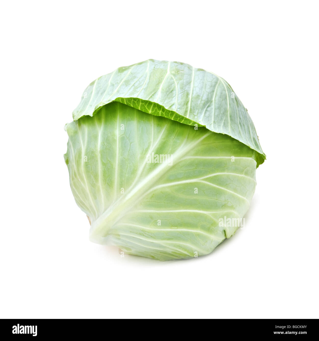 Cabbage hi-res stock photography and images - Alamy