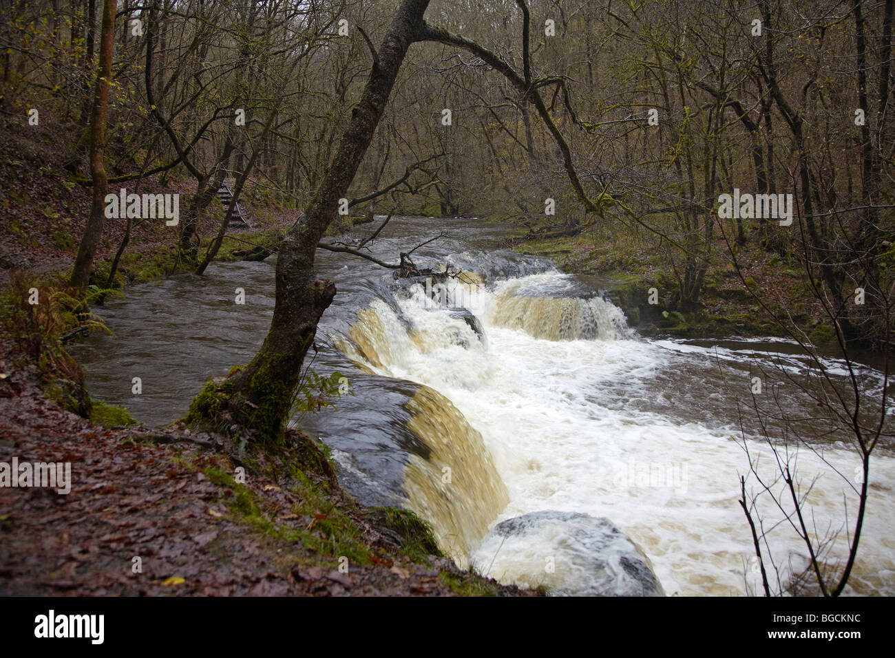 Neath waterfalls hi-res stock photography and images - Alamy