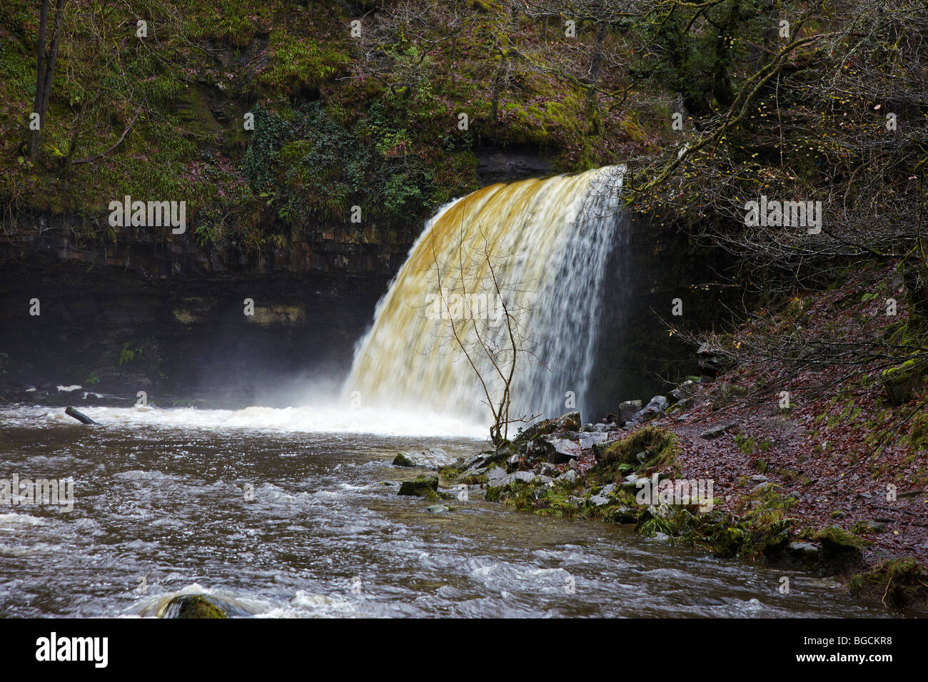 Sgwd Gwladys (Lady Falls) Pontneddfechan, Neath Valley, Wales, UK Stock ...