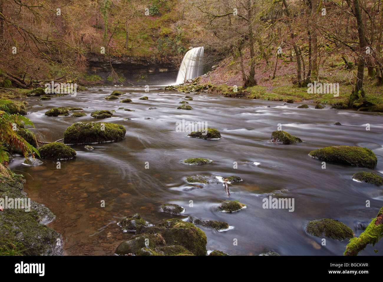 Lady Falls (Sgwd Gwladys) Waterfall on the Afon Pyrddin River ...