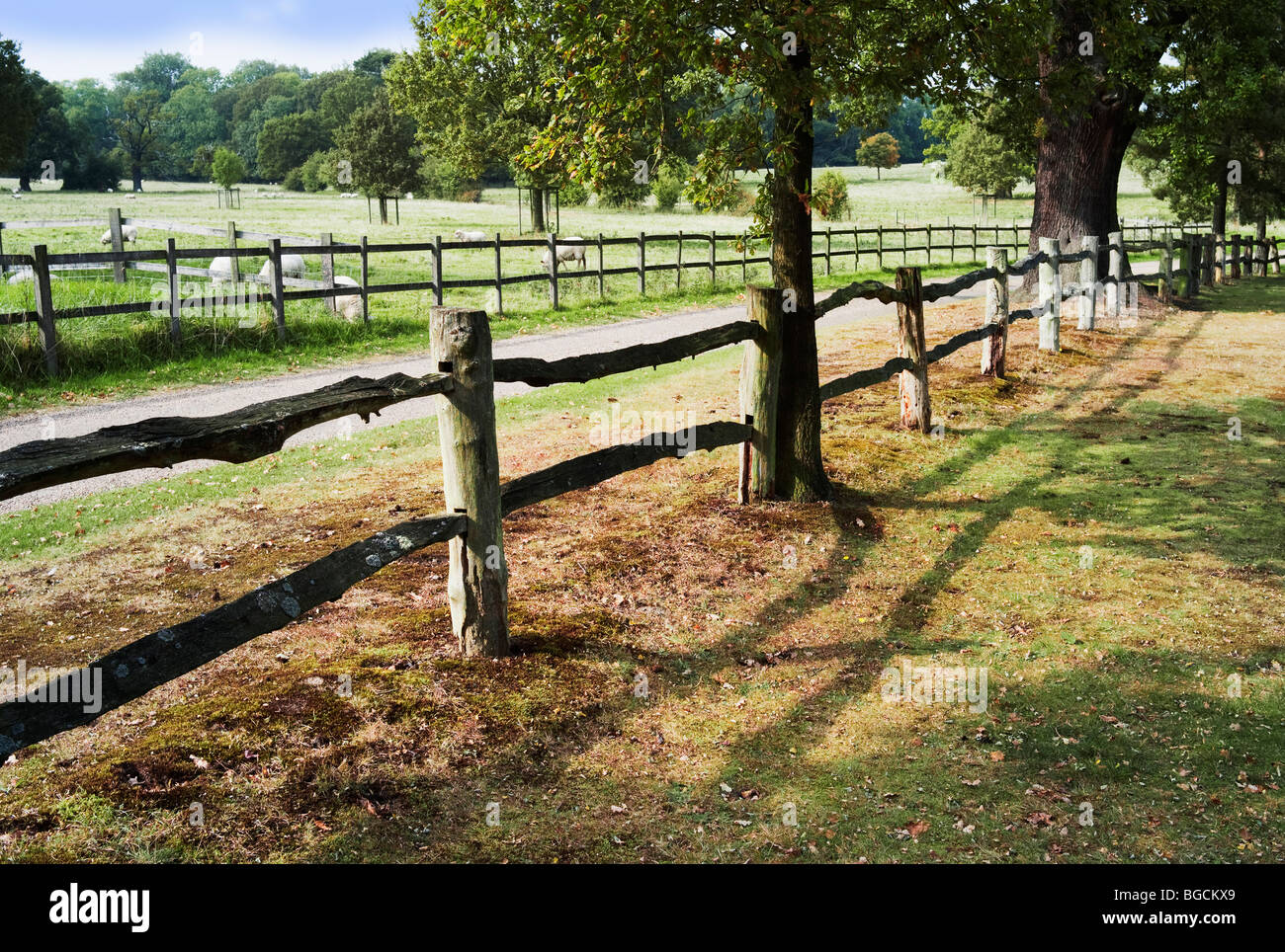 country lane estate warwickshire midlands england uk Stock Photo - Alamy