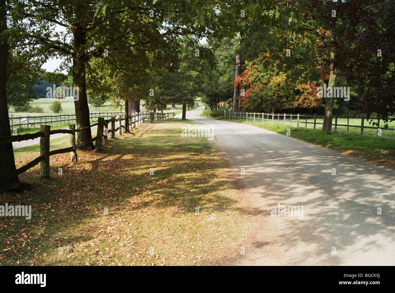 country lane estate warwickshire midlands england uk Stock Photo - Alamy
