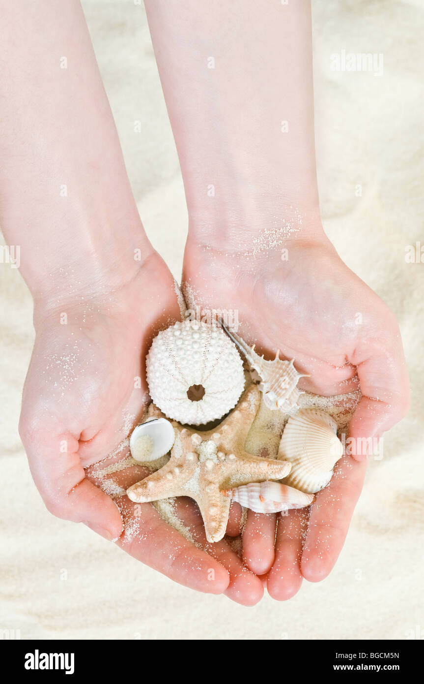 Cockleshell hi-res stock photography and images - Alamy