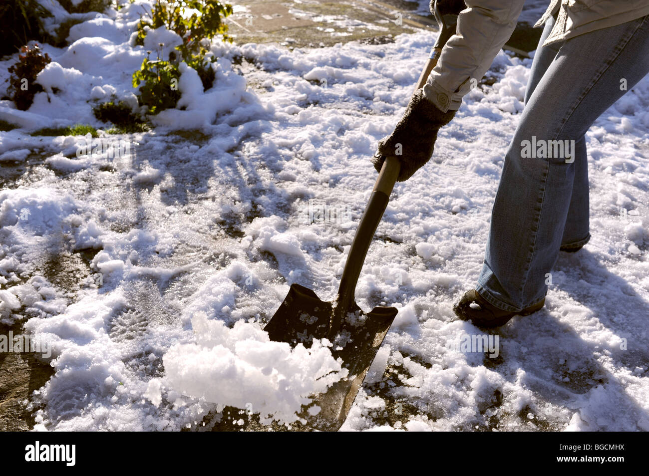 Woman clearing snow and ice from her path and drive using a shovel in ...