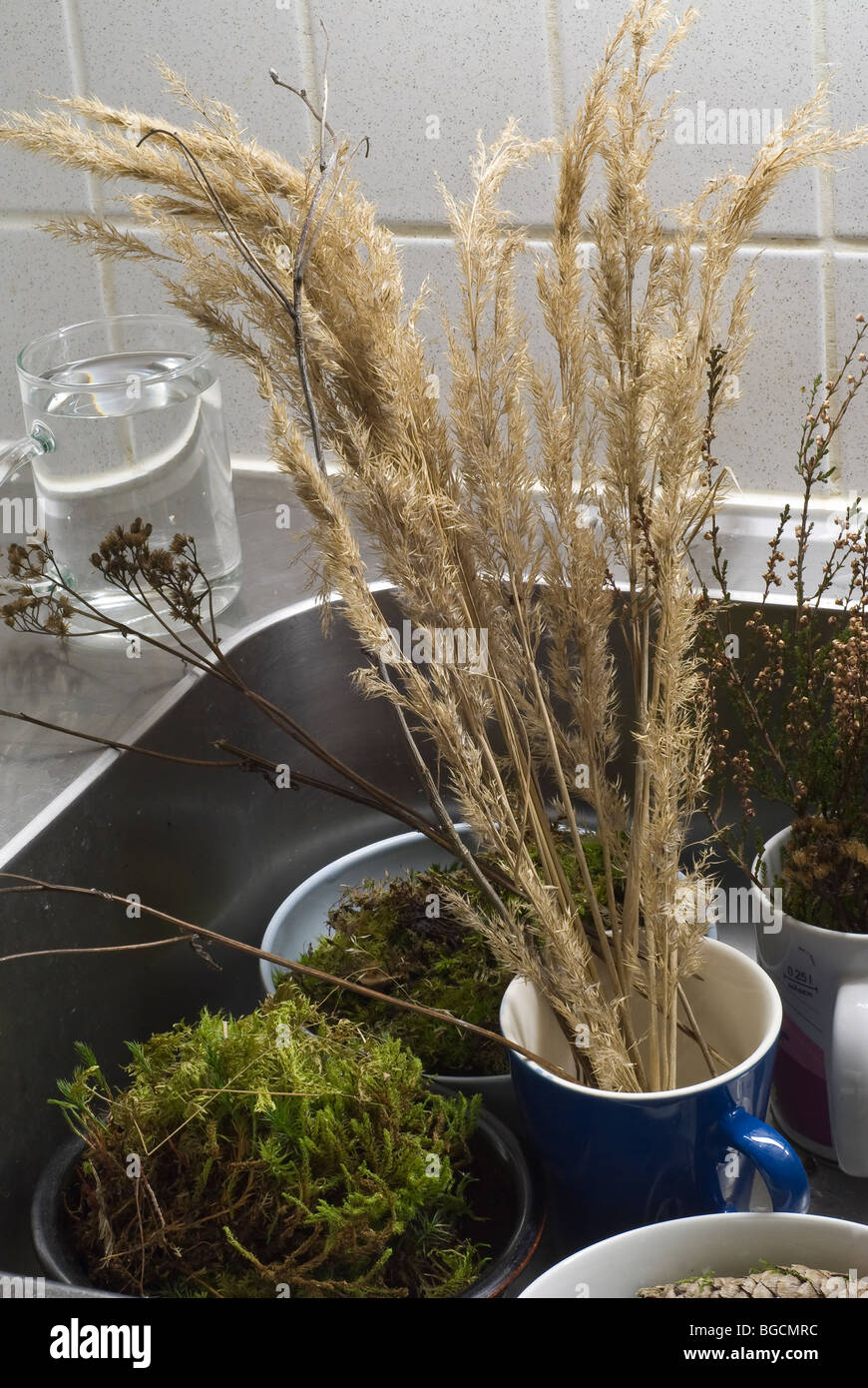 Forest objects still-life Stock Photo - Alamy