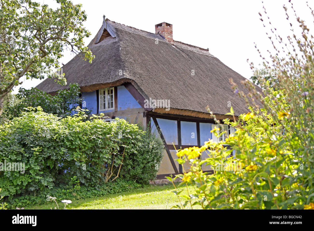 thatched half-timbered house in Warthe, Usedom Island, Mecklenburg-West ...