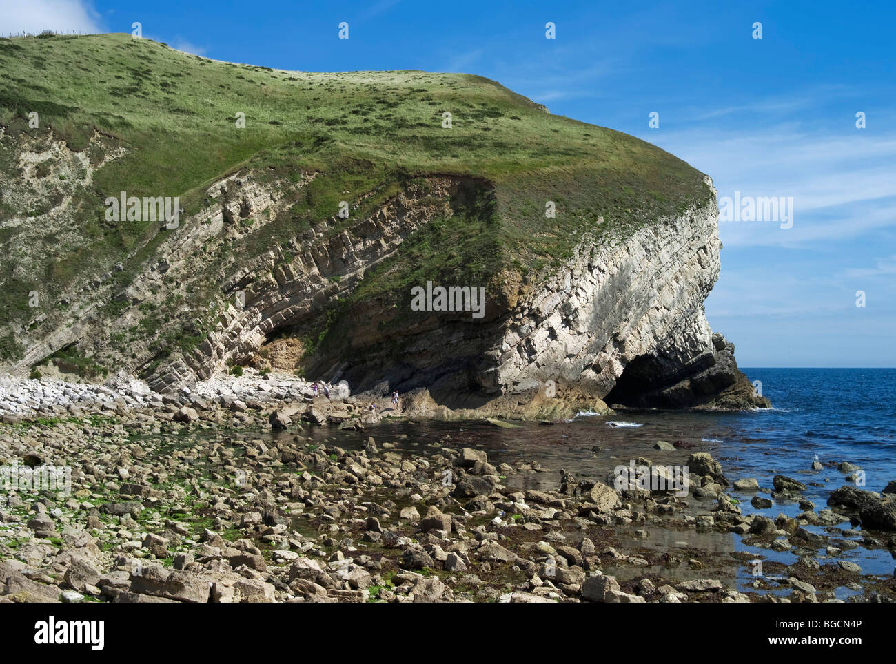 worbarrow bay on the south west coast path in dorset Stock Photo - Alamy
