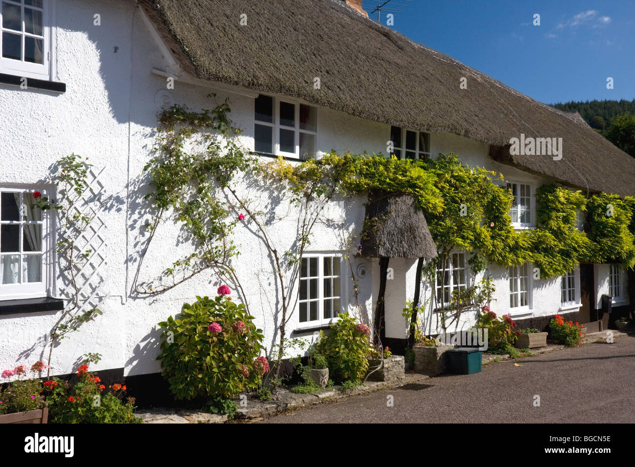 Devon thatched cottage hi-res stock photography and images - Alamy