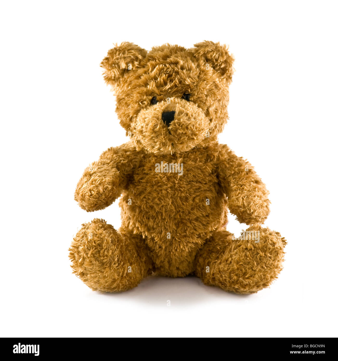 Teddy bear hi-res stock photography and images - Alamy