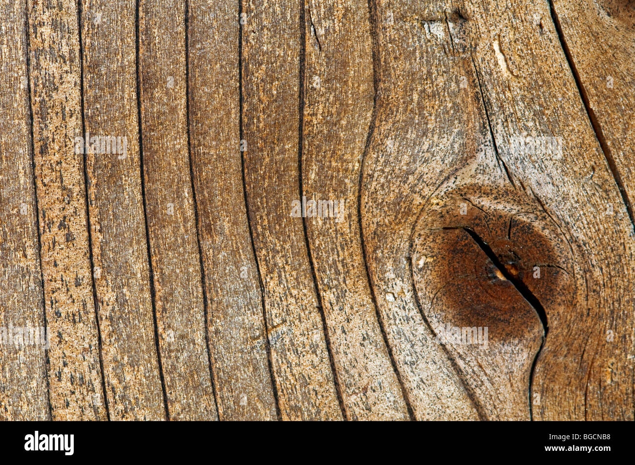 wood texture closeup Stock Photo - Alamy