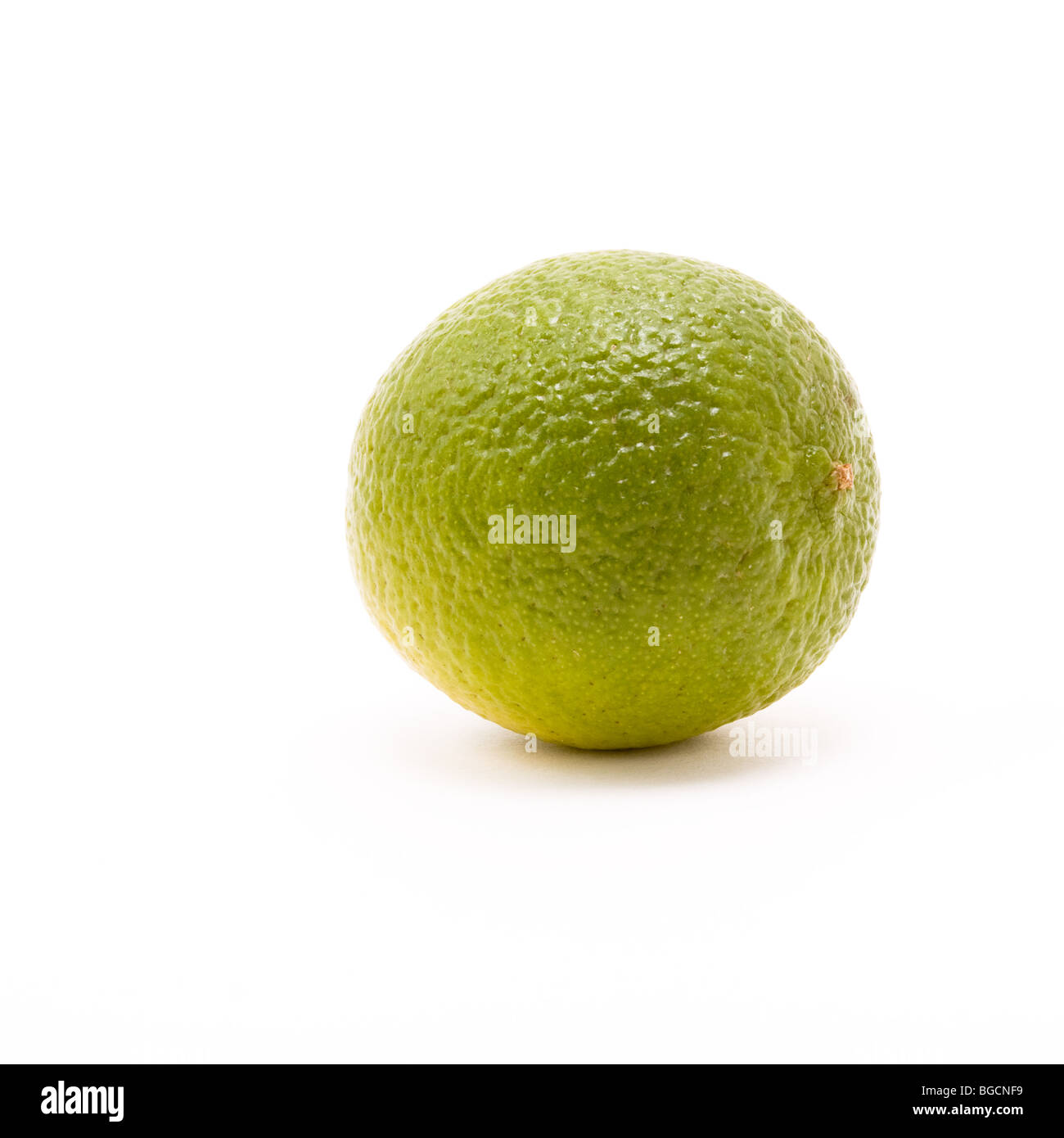 natural Green Lime isolated against plain white background Stock Photo ...