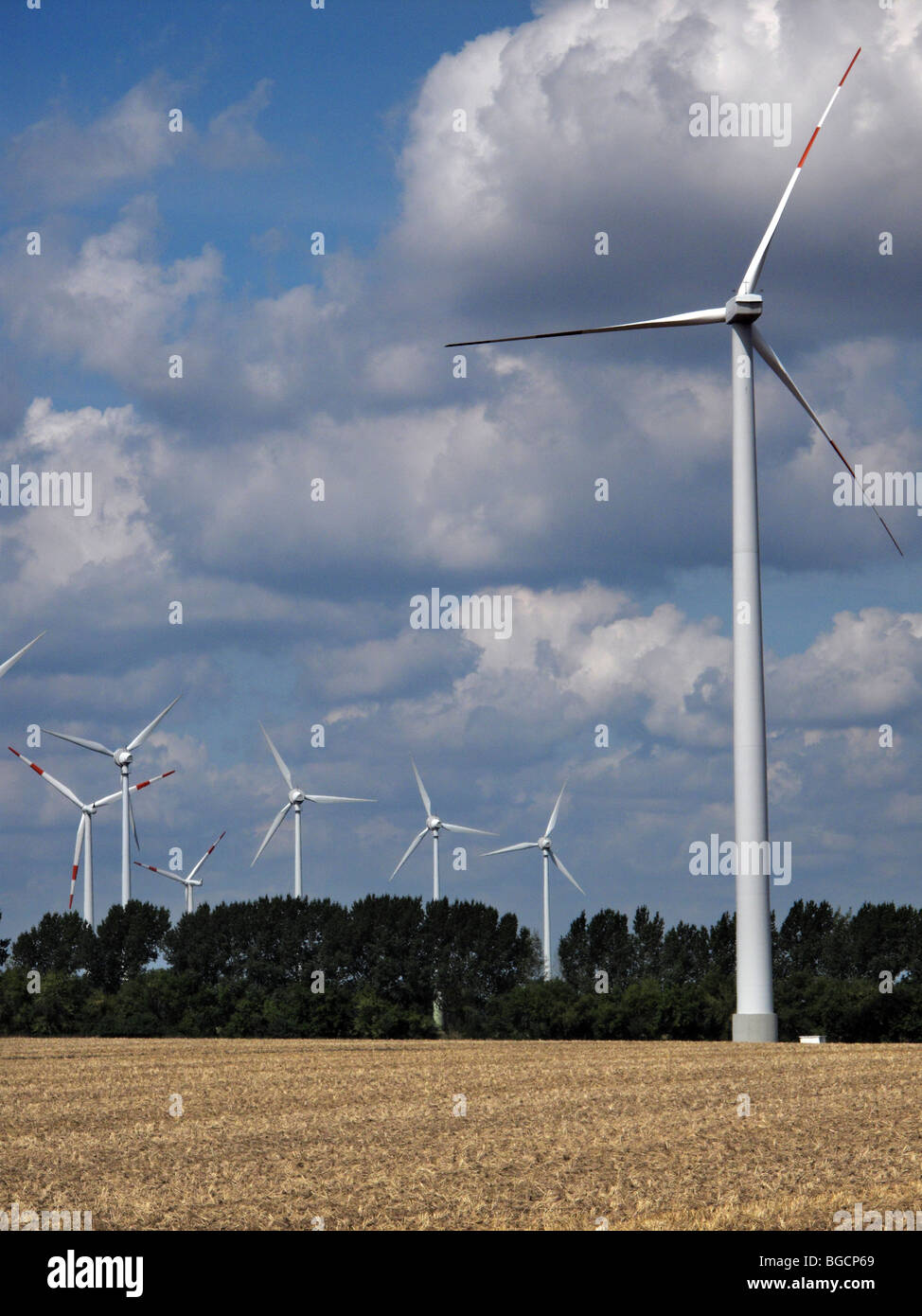 Wind park in wheat field. Germany Stock Photo - Alamy
