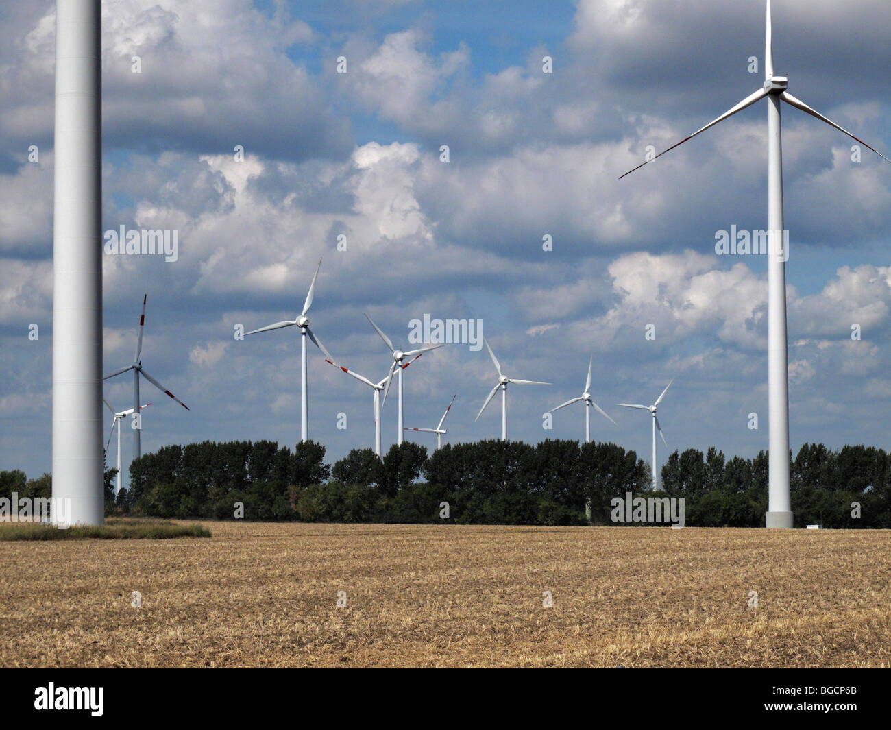 Wind park in wheat field. Germany Stock Photo - Alamy