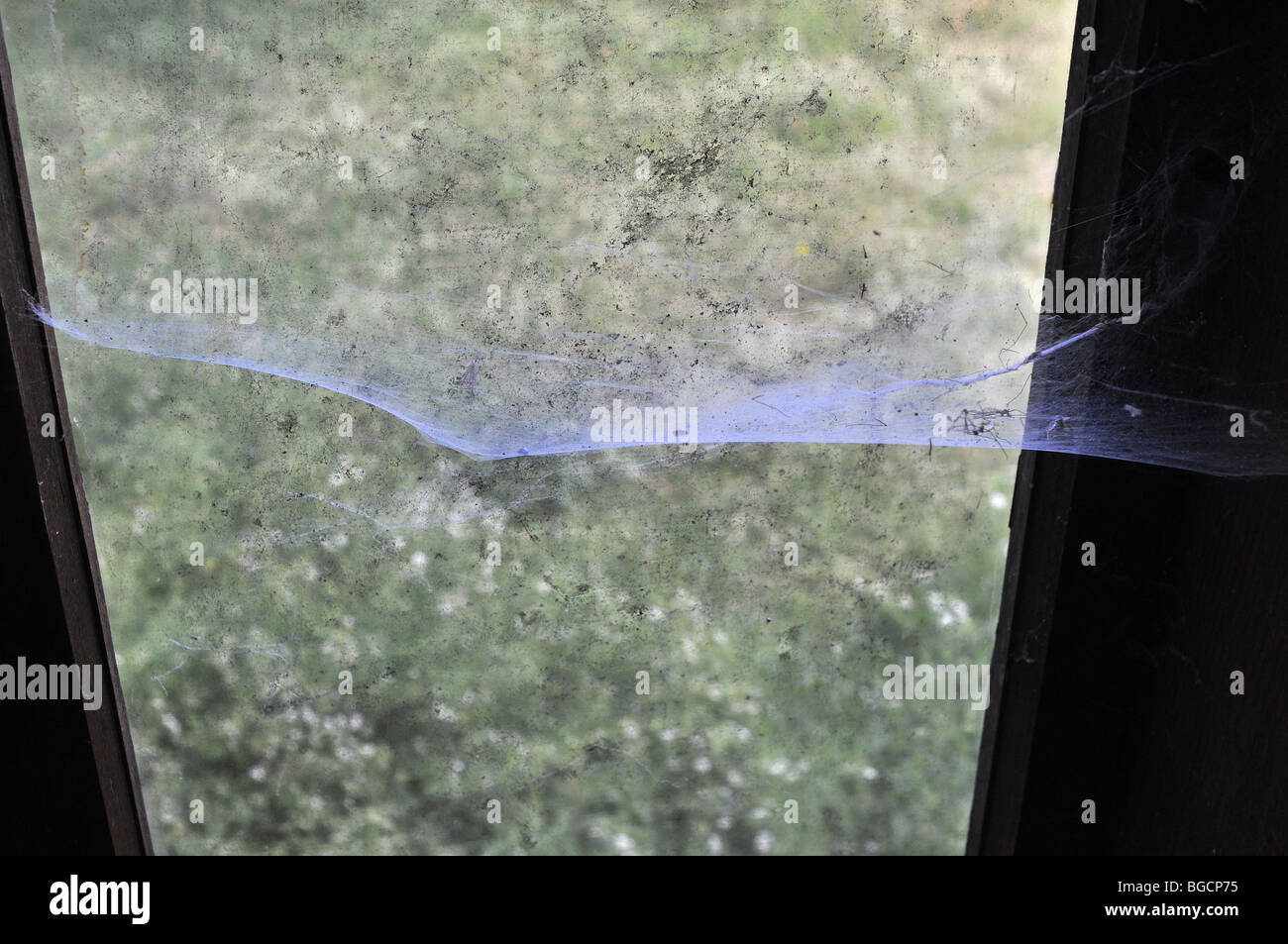 Spiderweb in window in old cottage Stock Photo - Alamy