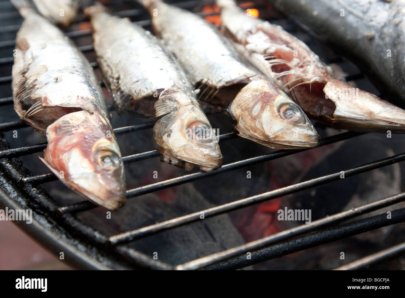 Grilled fish (sardines and a mackerel) cooking on a mini barbecue grill ...