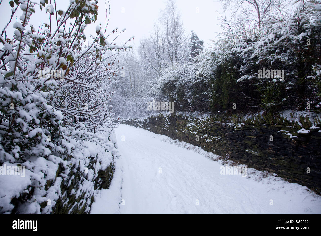 Snowy Lane after fresh fall of snow on Christmas Eve Stock Photo - Alamy