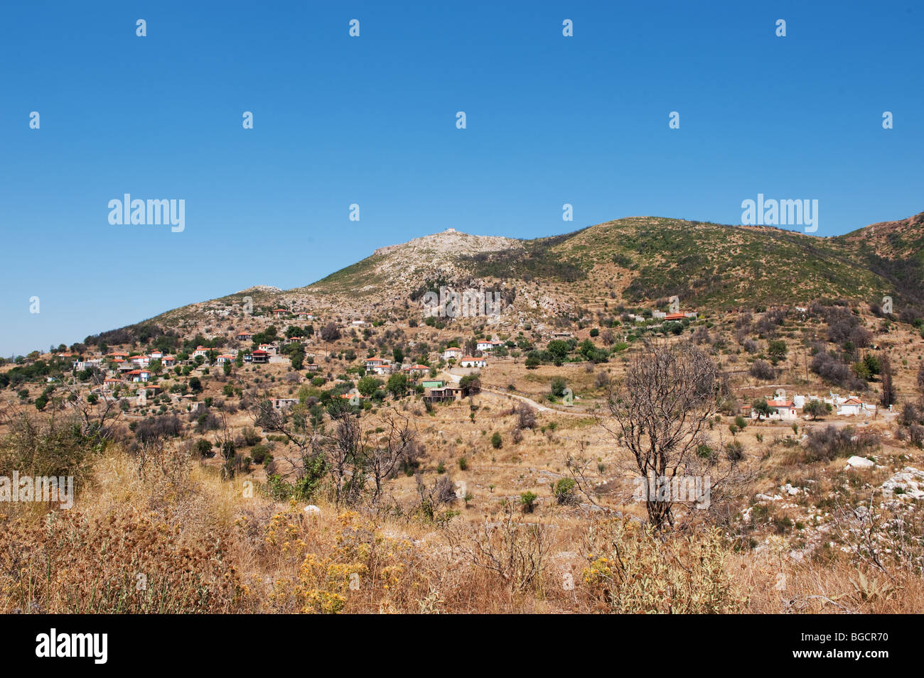 Typical greek landscape hi-res stock photography and images - Alamy