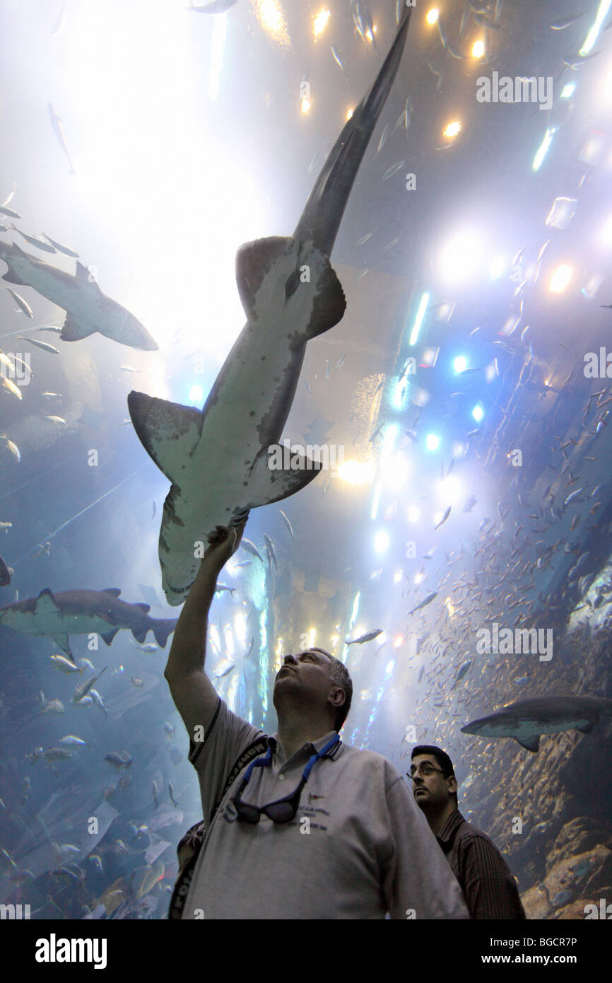 A man watching a shark at the Dubai Aquarium, United Arab Emirates ...
