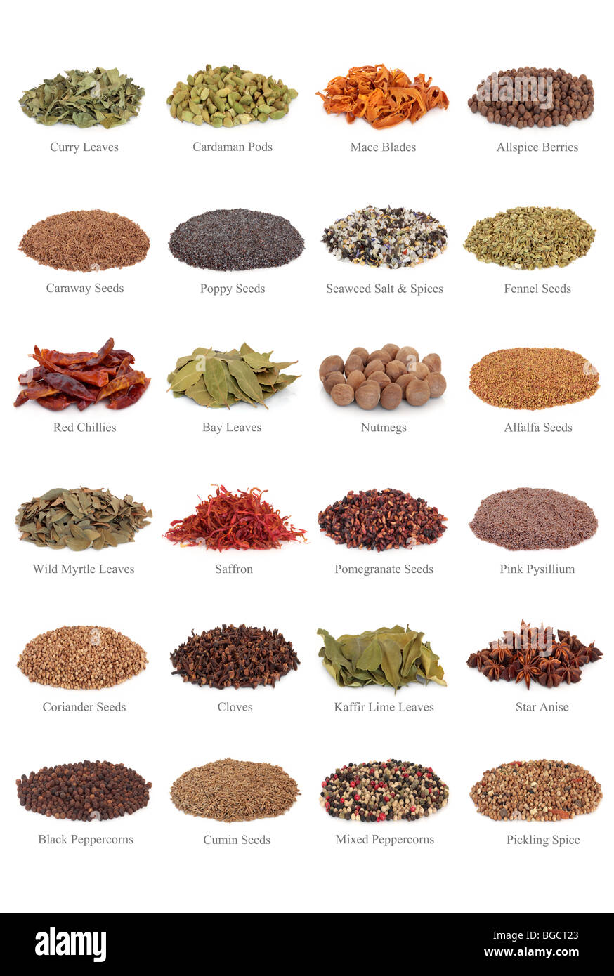 Spice and herb leaf selection with titles, isolated over white ...