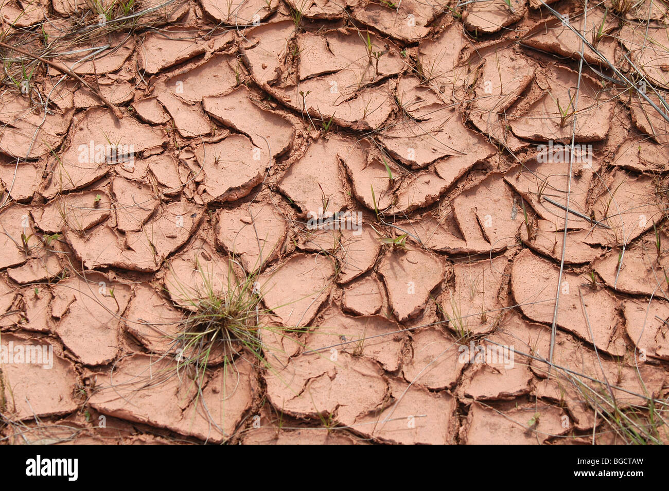 Cracked and dry ground. São Paulo, Brazil 18/09/2008 Stock Photo - Alamy