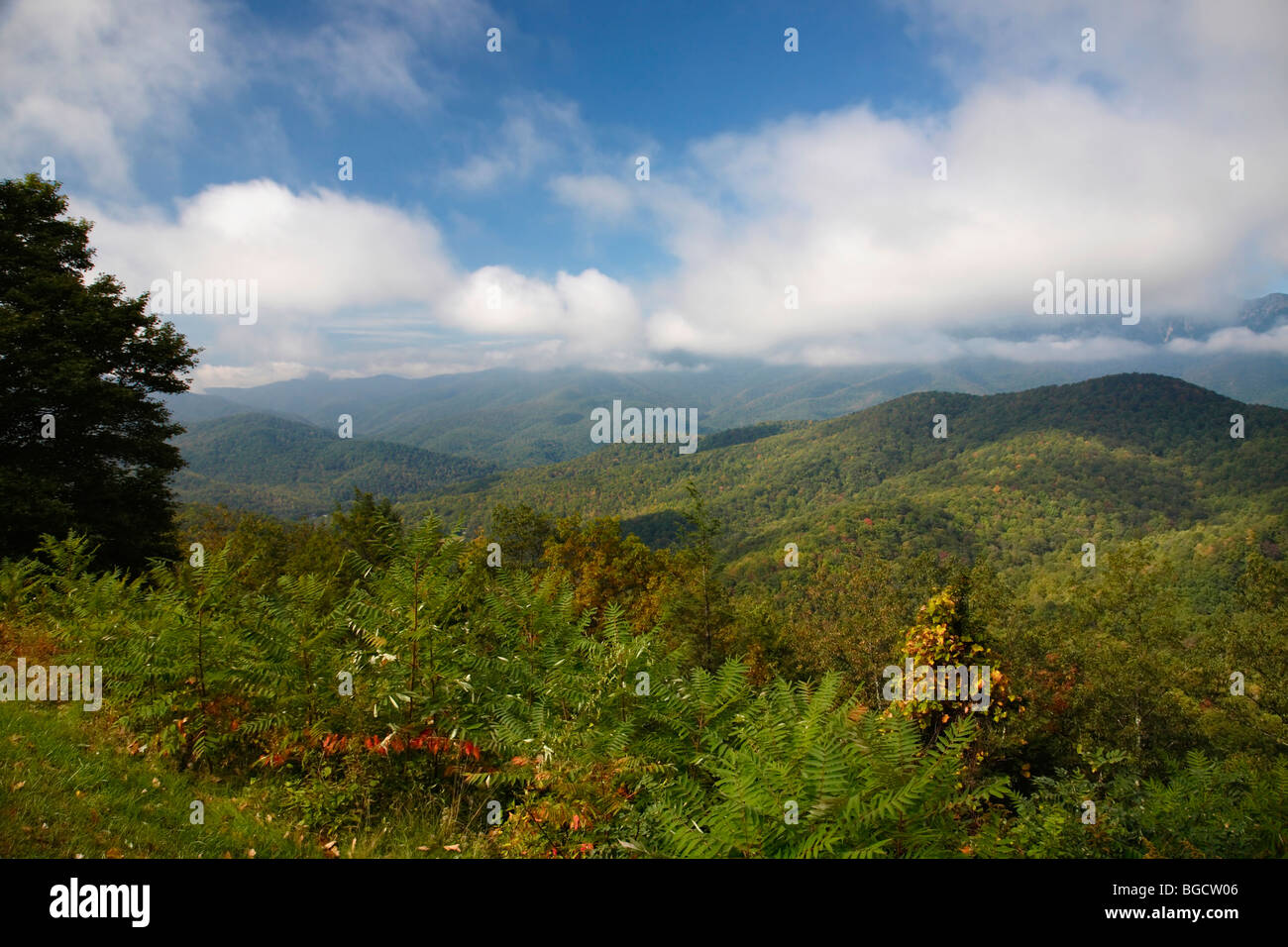 North Carolina NC Appalachian Mountains at Blue Ridge Parkway National ...