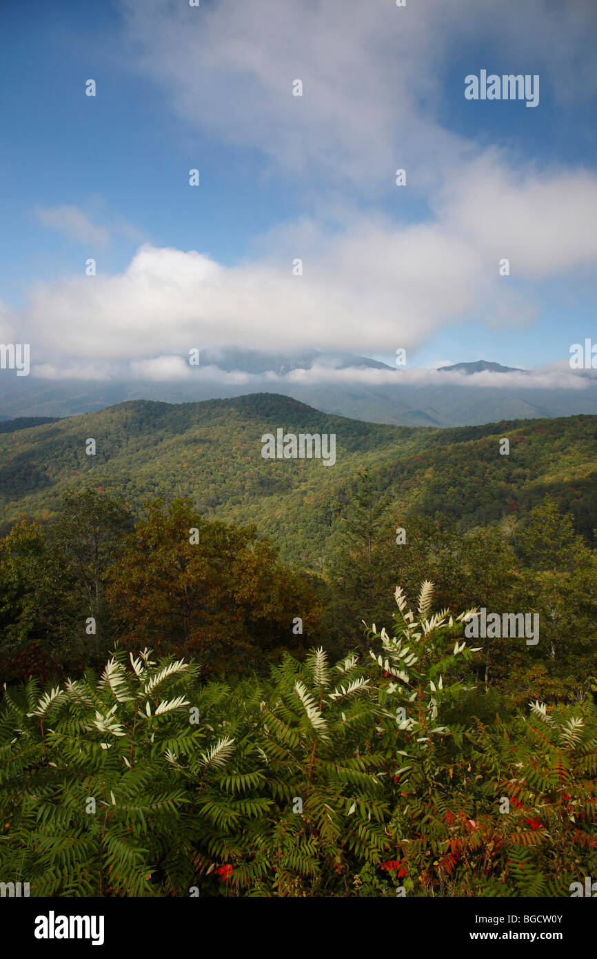 Appalachian people not trail hi-res stock photography and images - Alamy