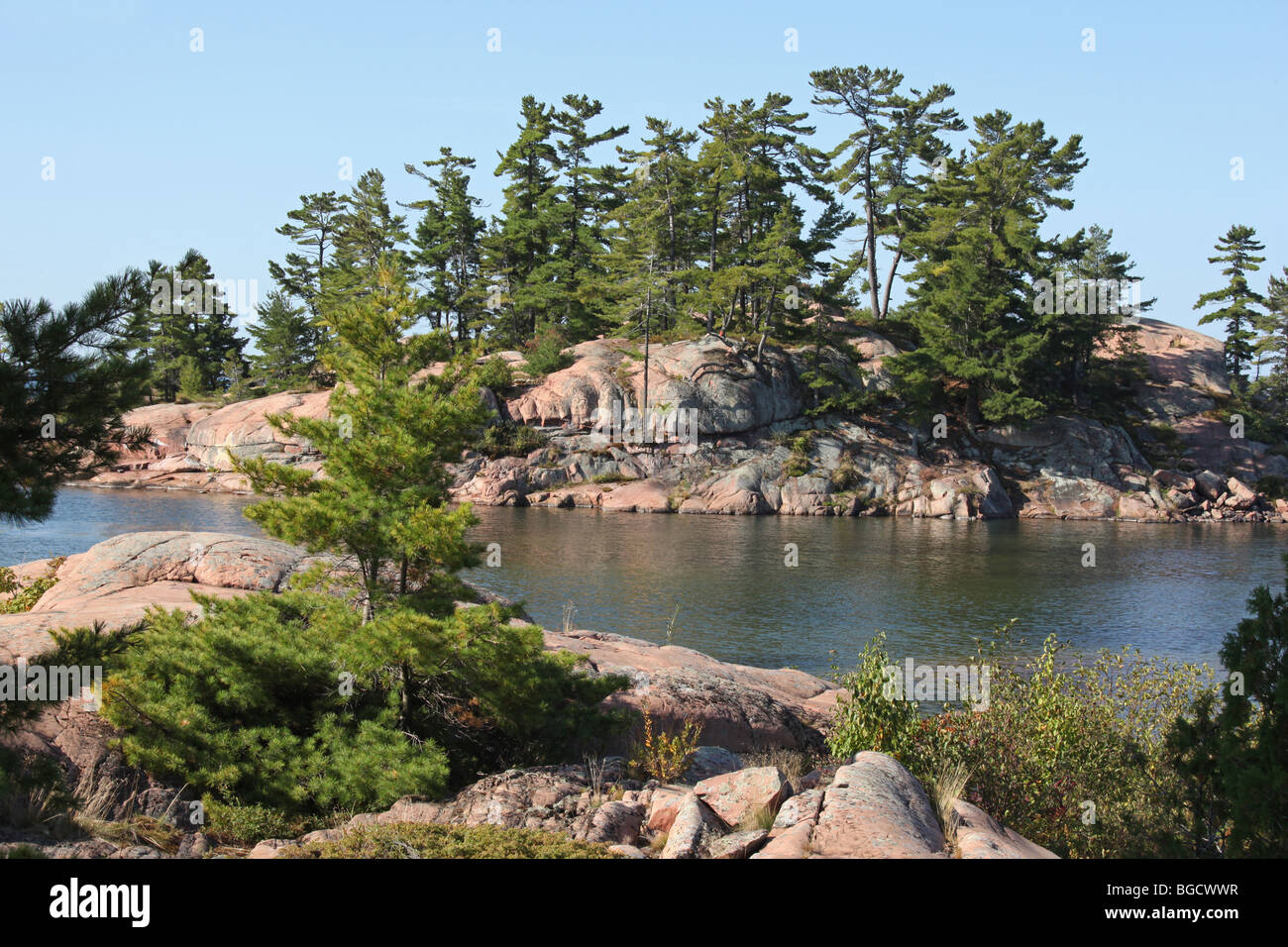 Lake rock windswept pine hi-res stock photography and images - Alamy