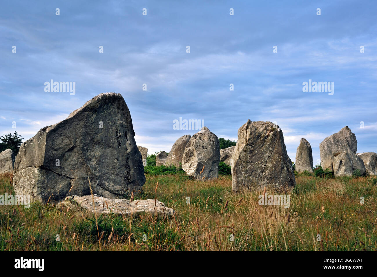 Neolithic menhirs / standing stones at sunset, Carnac, Morbihan ...