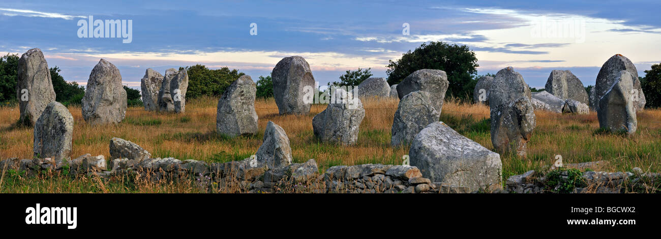 Neolithic menhirs / standing stones at sunset, Carnac, Morbihan ...
