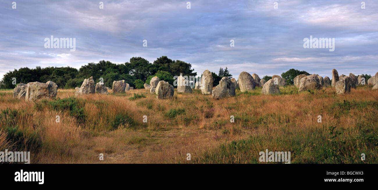 Neolithic menhirs / standing stones at sunset, Carnac, Morbihan ...