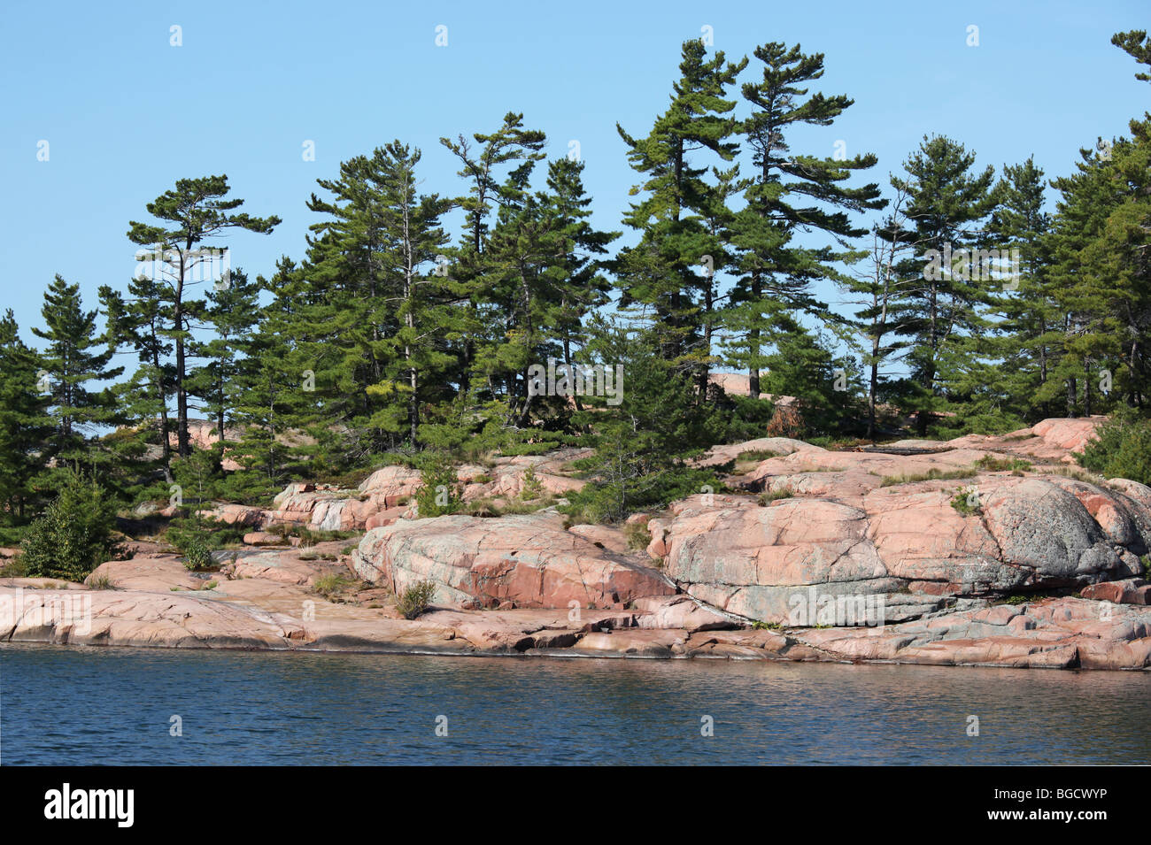 Windswept tree landscape hi-res stock photography and images - Alamy