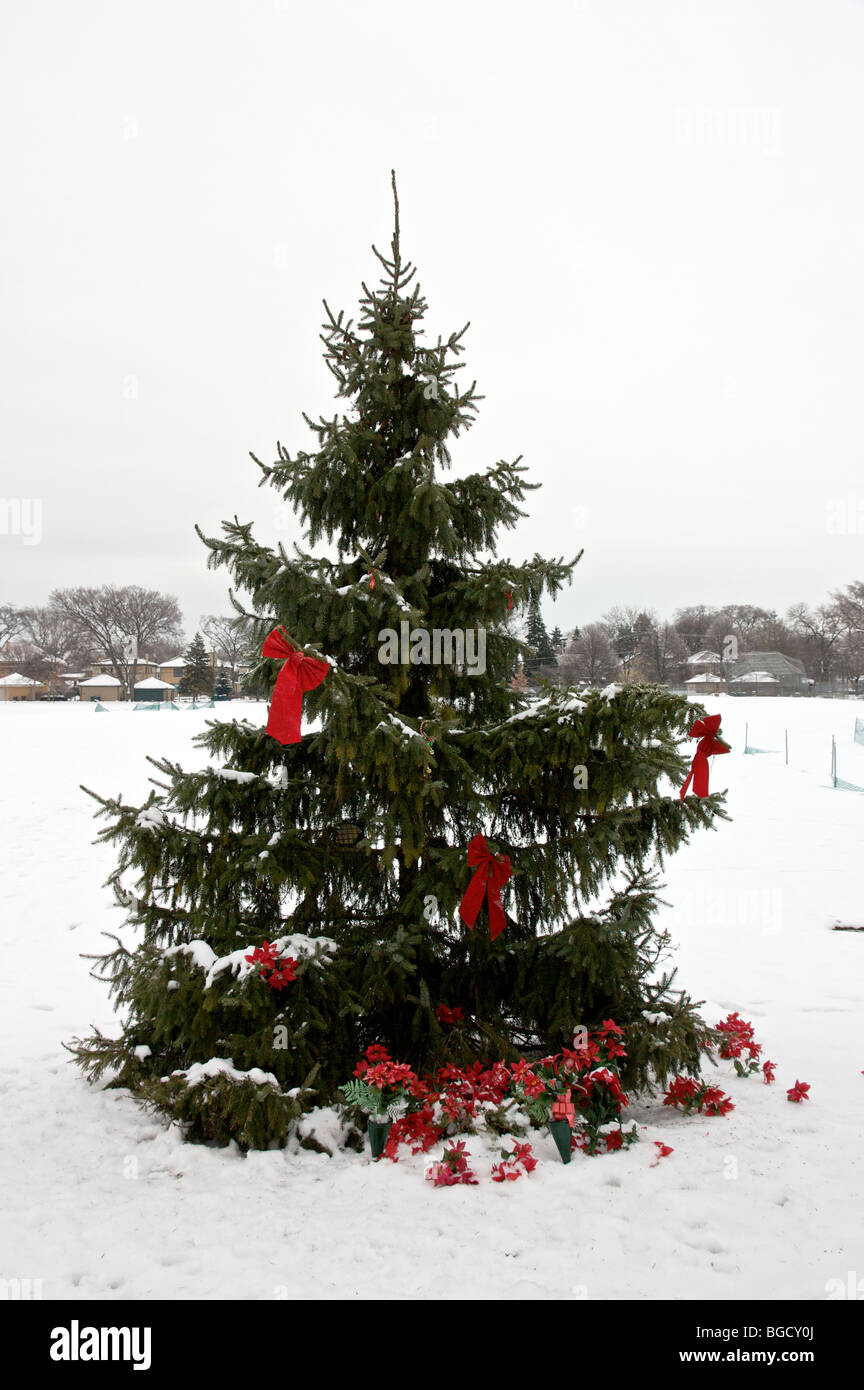 Holiday decorated fir tree Stock Photo - Alamy