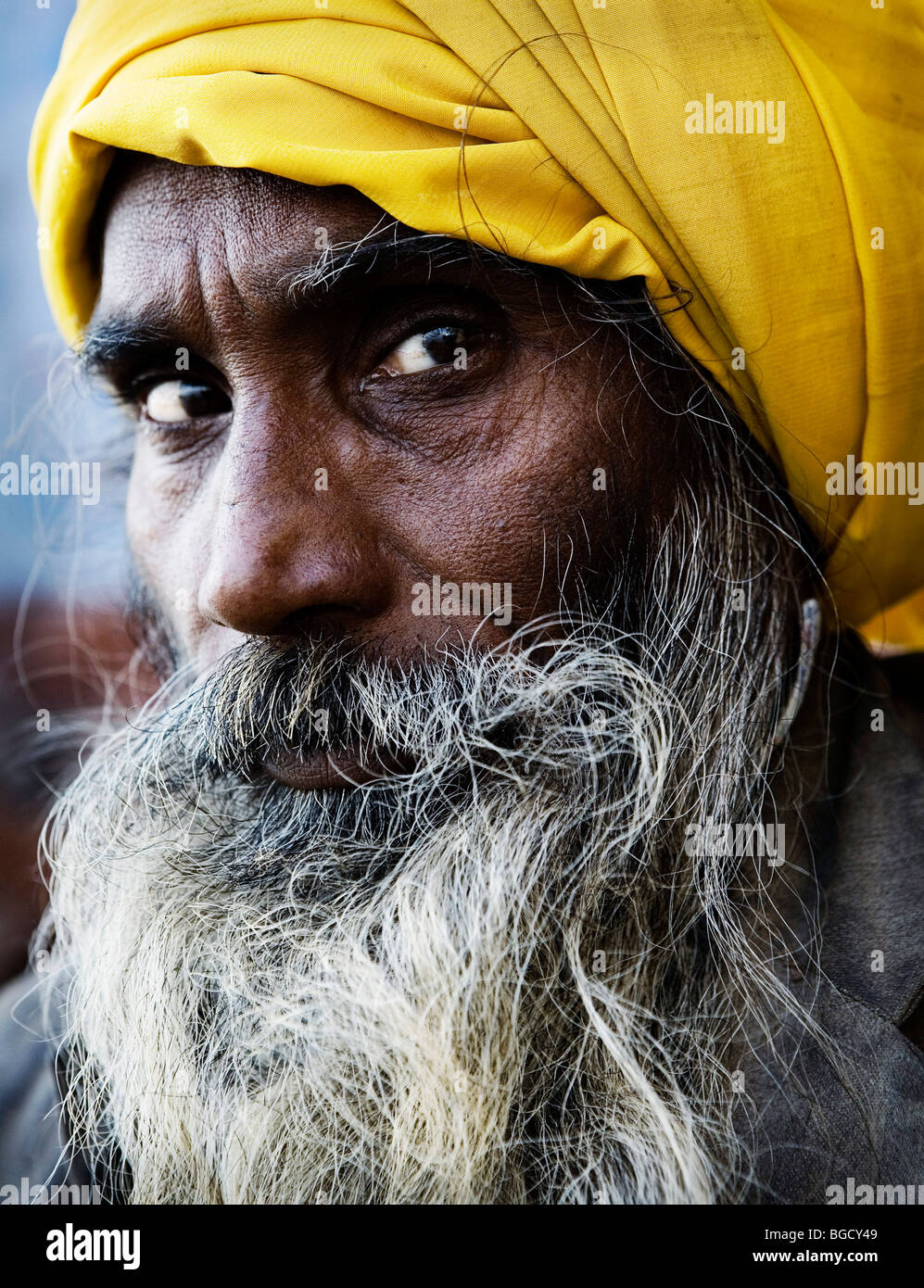 Portrait of a saddhu, a holy man or beggar monk, in Varanasi Stock ...