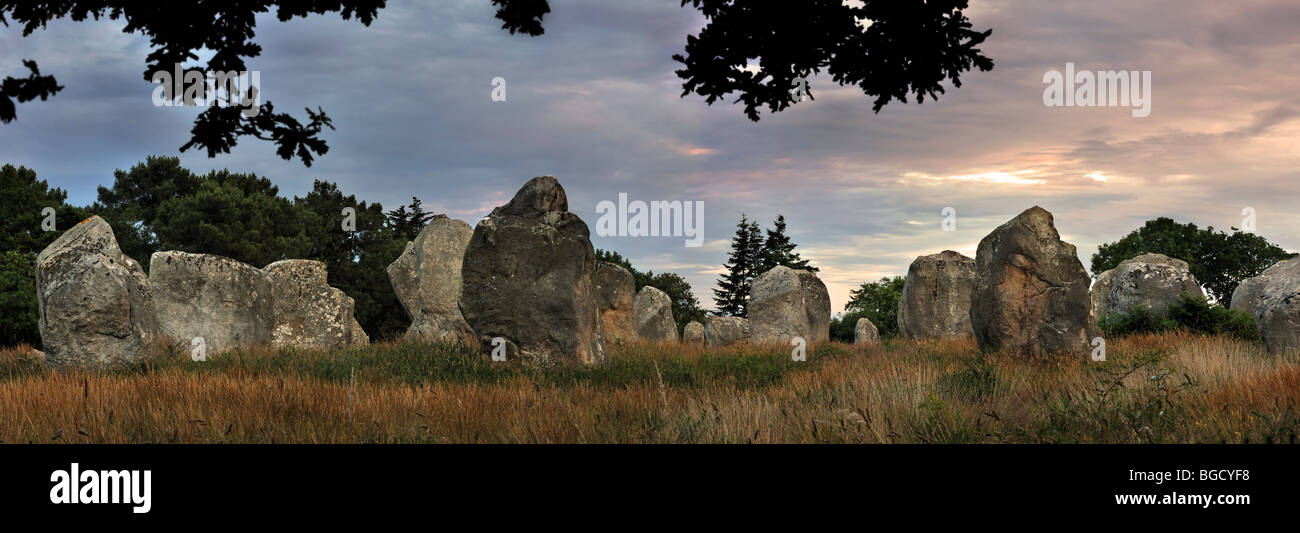 Neolithic menhirs / standing stones at Carnac at dusk, Morbihan ...