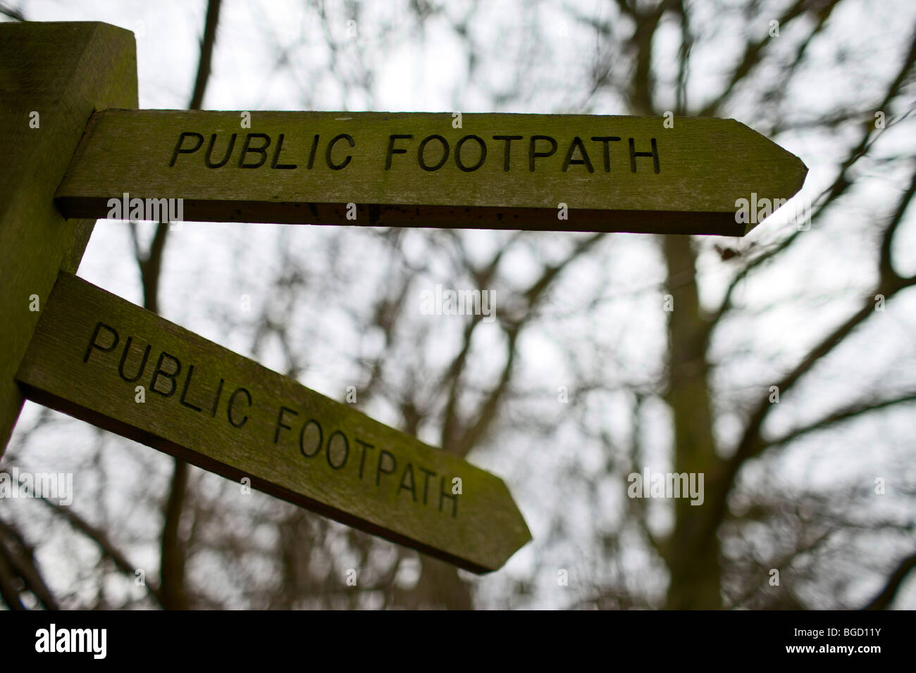 Public footpath signs in the Surrey countryside UK Stock Photo - Alamy