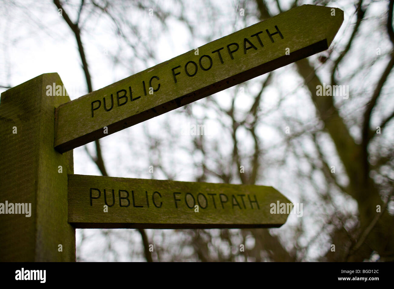 Public footpath signs in the Surrey countryside UK Stock Photo - Alamy