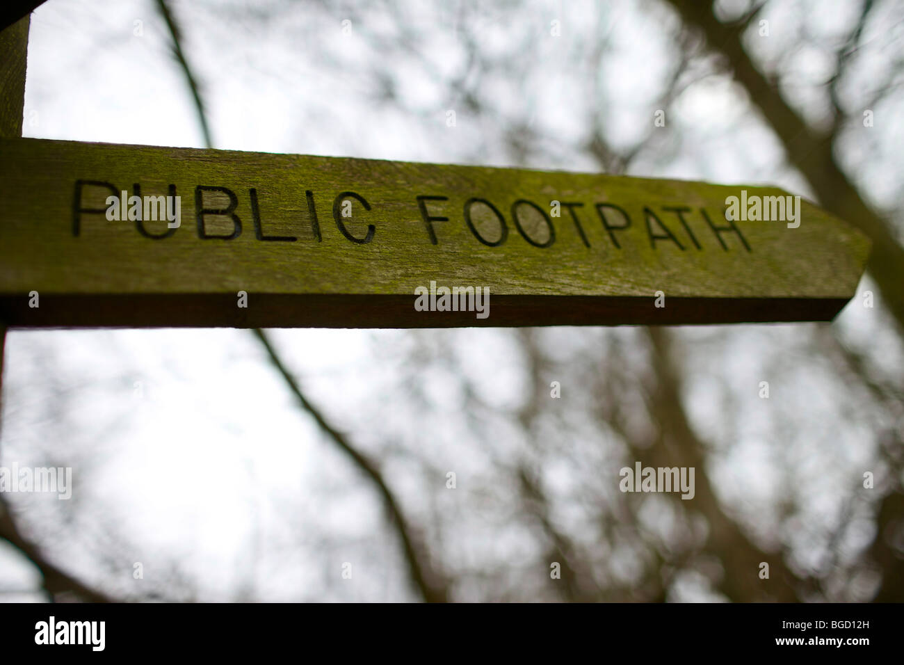 Public footpath signs in the Surrey countryside UK Stock Photo - Alamy