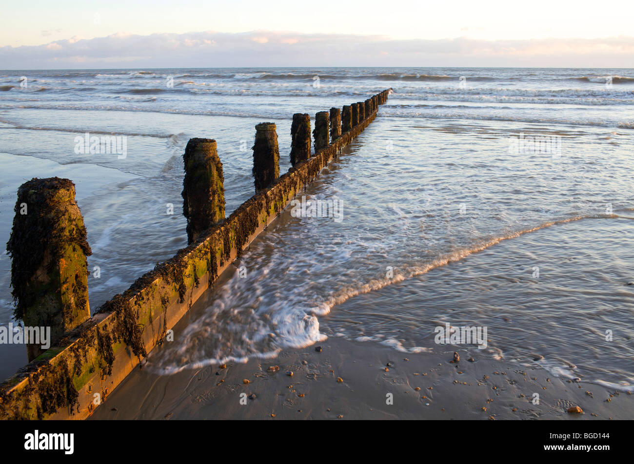 Groynes on the beach at Felpham West Sussex UK Stock Photo - Alamy